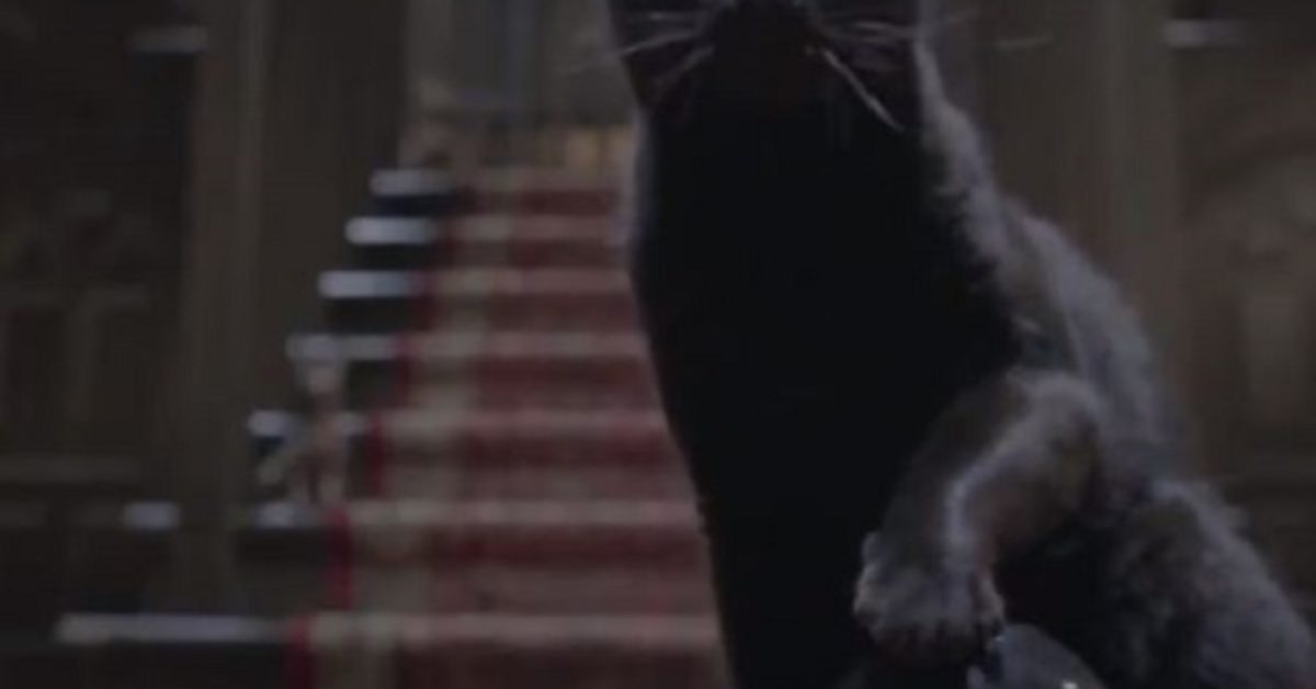 Chilling Adventures of Sabrina Renewed for Parts 3 and 4