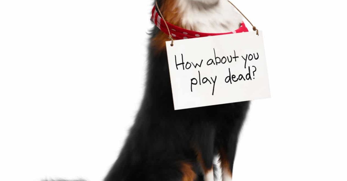 Meet Harrison Ford as Rooster in This New the Secret Life of Pets 2 ...