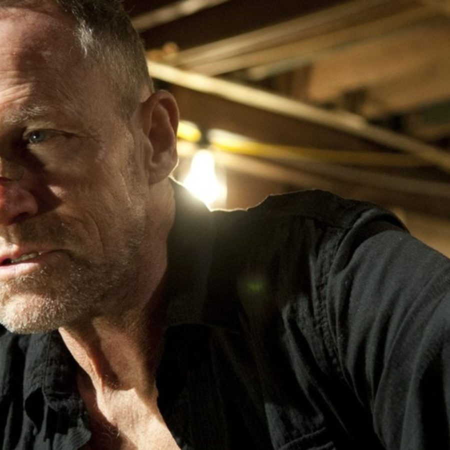 Melissa Mcbride Et Michael Rooker Michael Rooker Awards IMDb