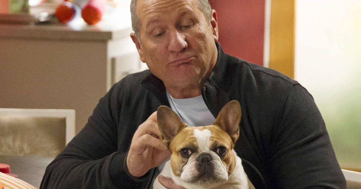 "Modern Family": Beatrice - Jay Pritchett's Dog Stella - Passes Away