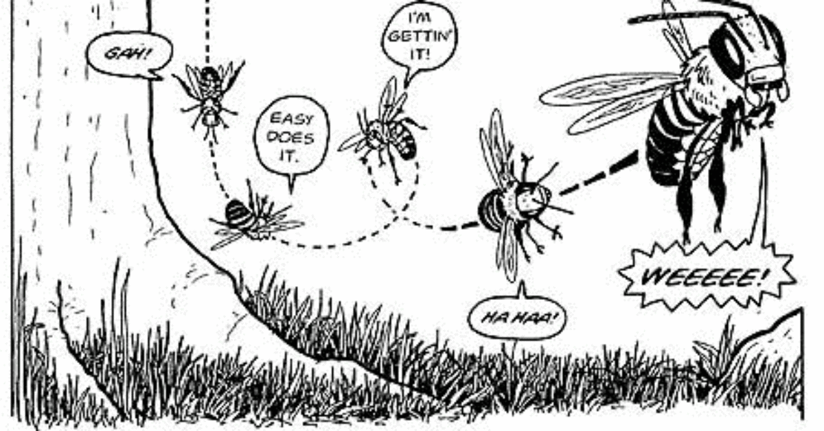 Jay Hosler Goes Back to the Bee, With The Way of the Hive