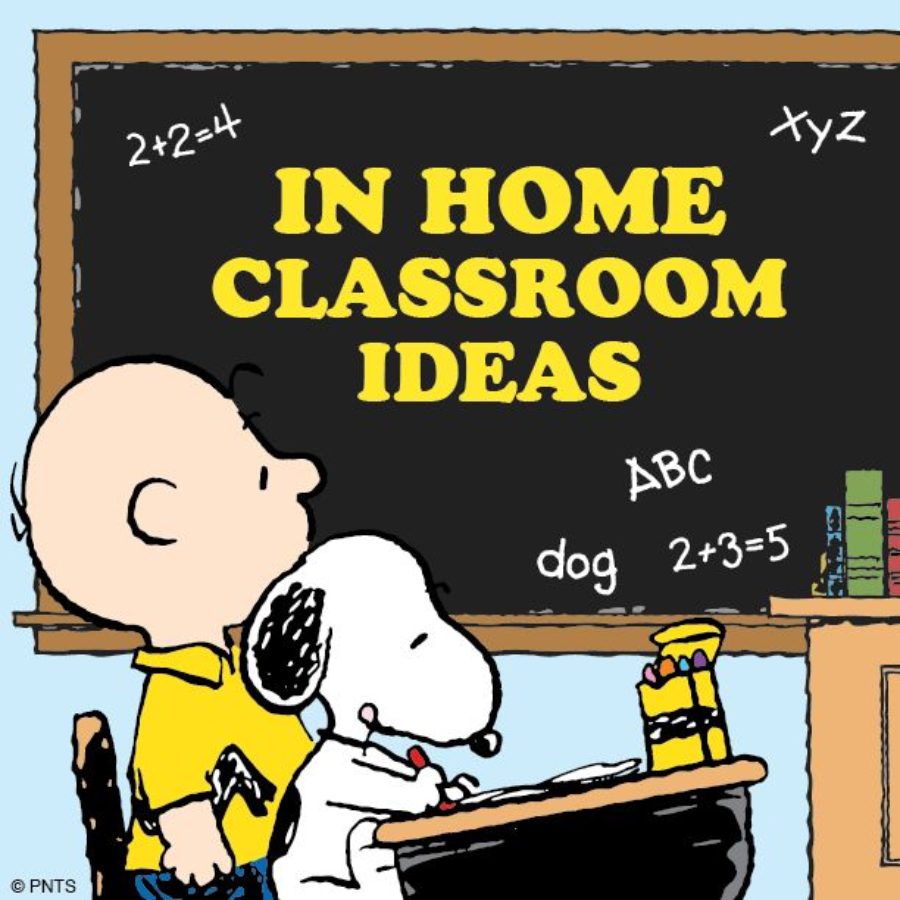 Peanuts Math Comics