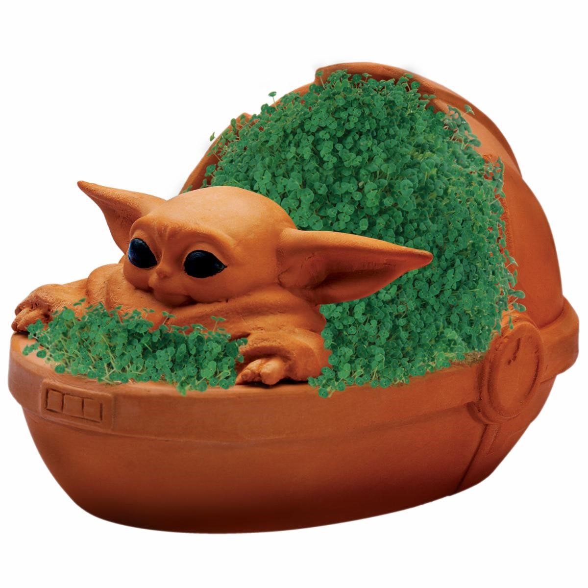 chia pet News, Rumors and Information - Bleeding Cool News And Rumors ...