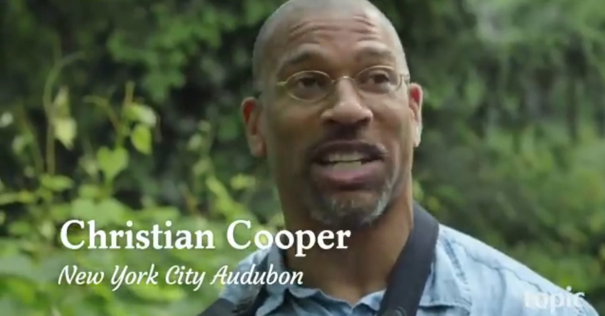 Bird Watching With Christian Cooper in The Daily LITG, May 27th 2020