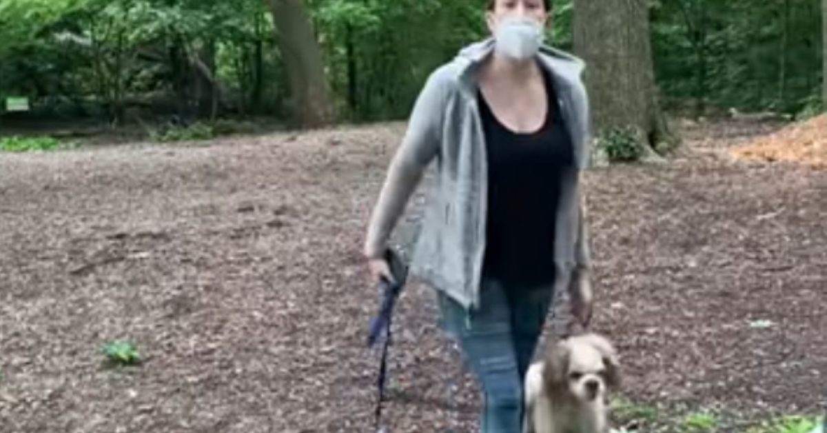 Marvel Comics' Christian Cooper In Central Park Racial Confrontation