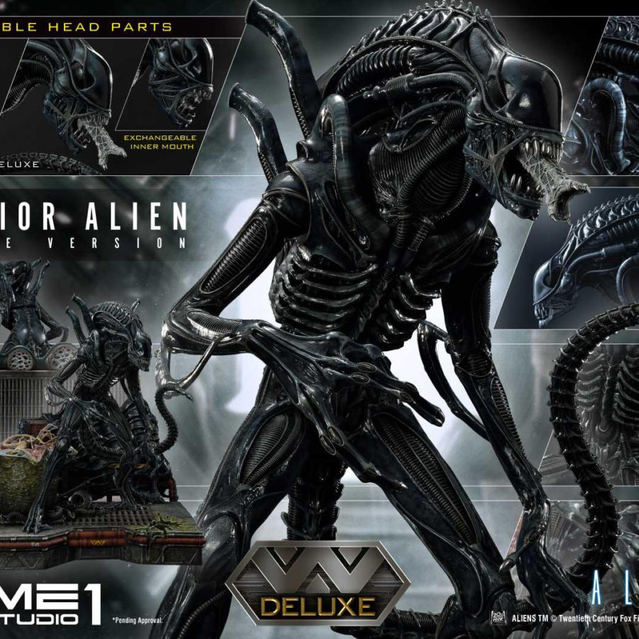 Xenomorph Warrior Princess