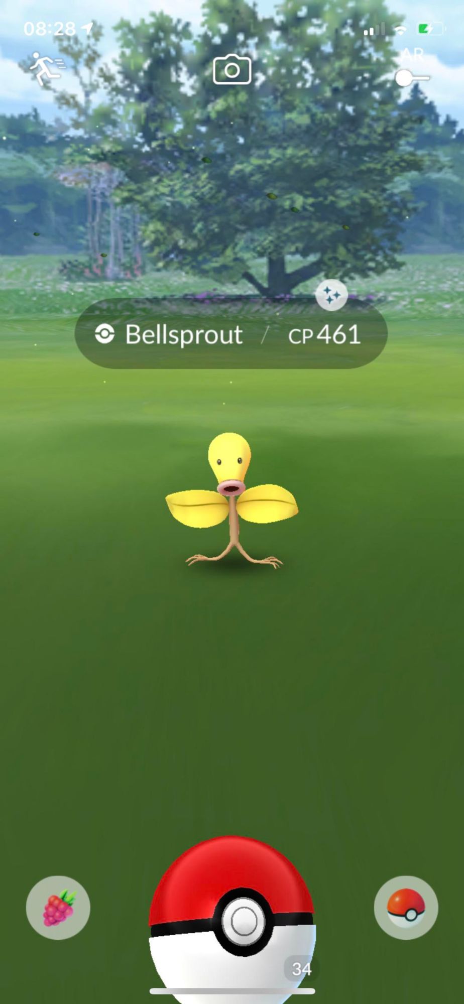 Shiny Bellsprout News, Rumors and Information - Bleeding Cool News Page 1
