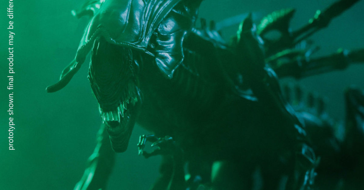 Alien Vs Predator Alien Queen