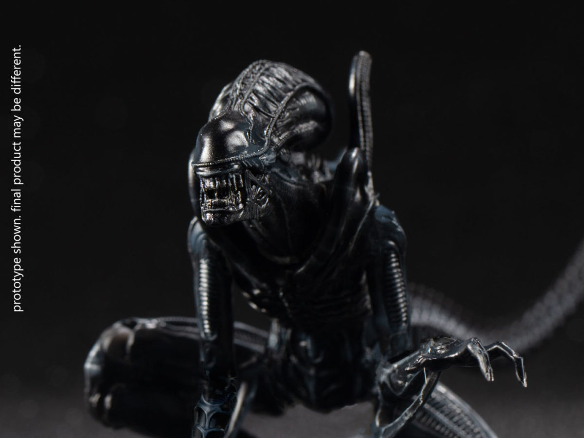 Xenomorph Warrior Princess