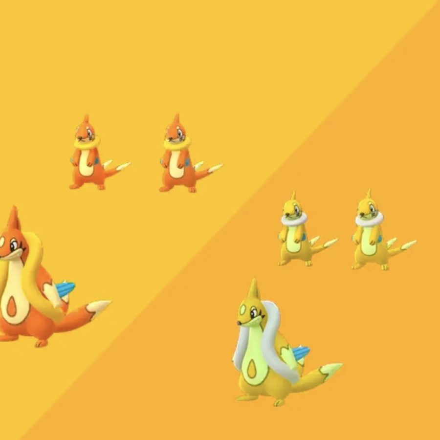 Shiny Charmander Evolution Line
