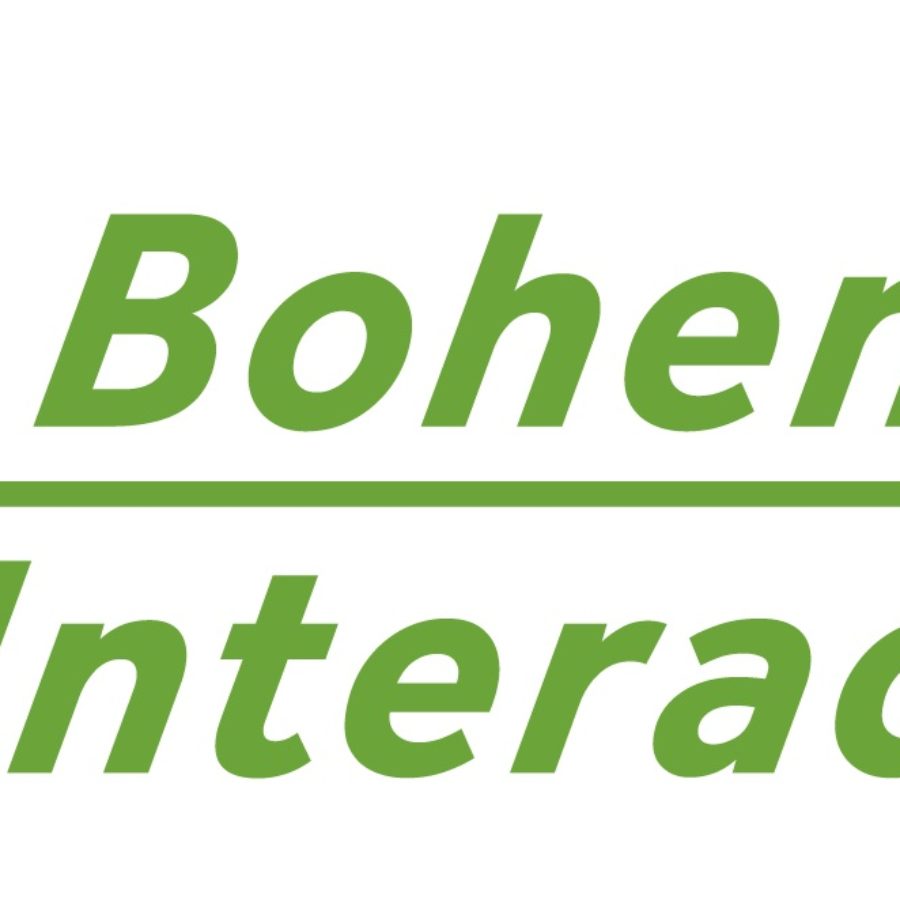 Bohemia Interactive Logo Bohemia Interactive In 2023 | Blog | Bohemia