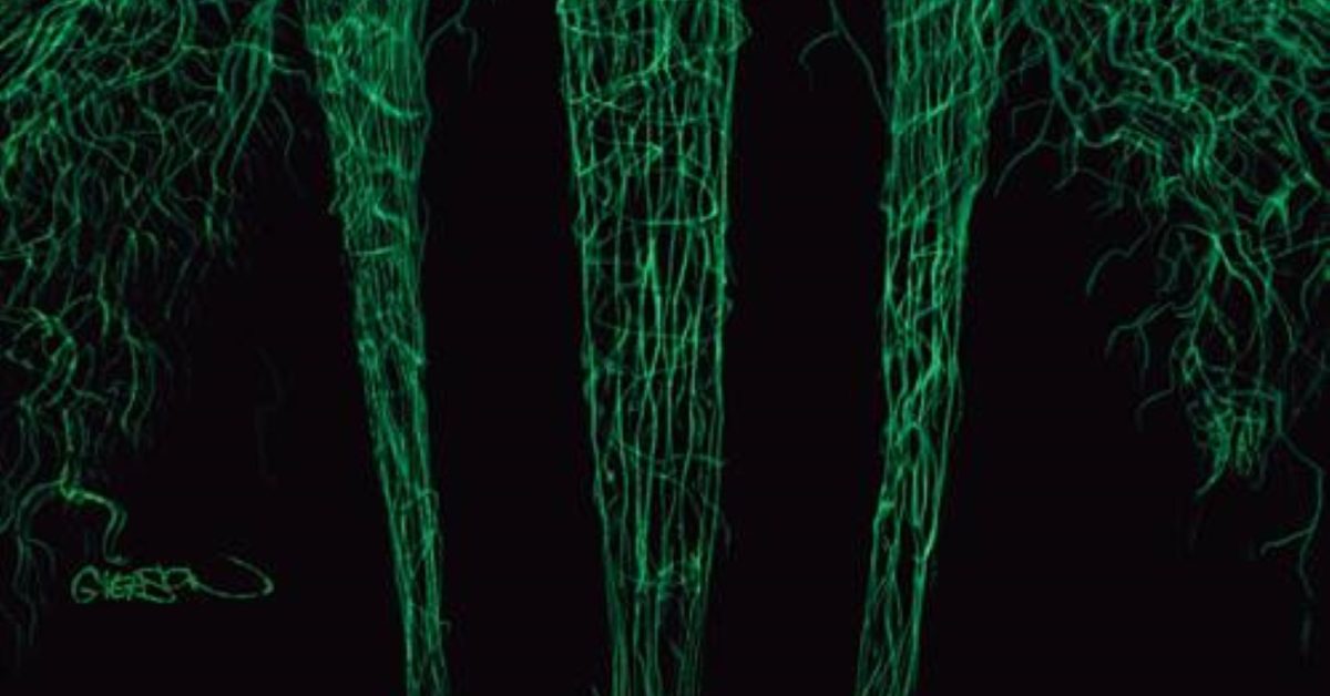 Patrick Gleason Brings His Webhead To His Man-Thing