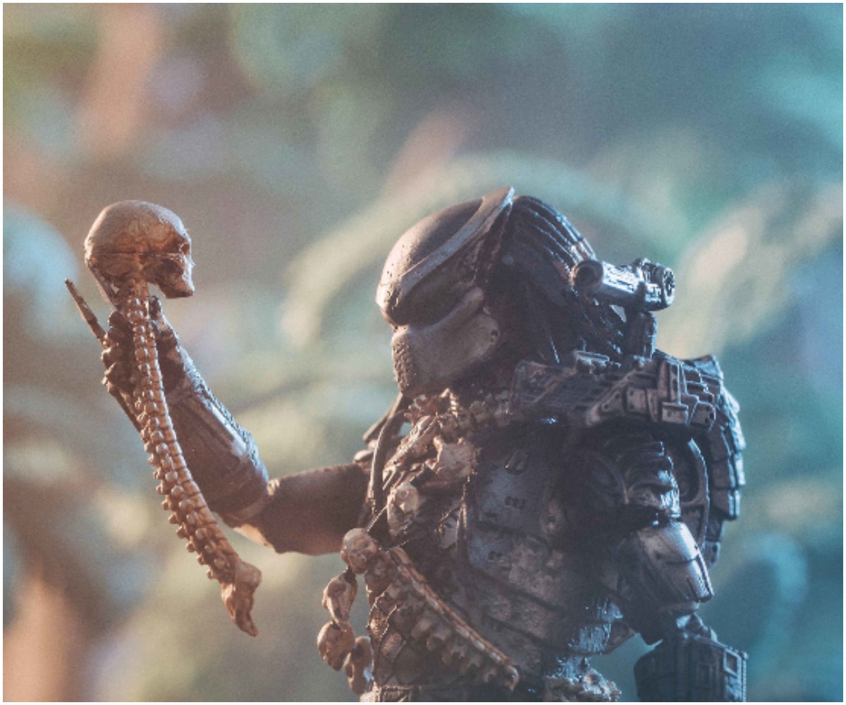 jungle hunter News, Rumors and Information - Bleeding Cool News Page 1