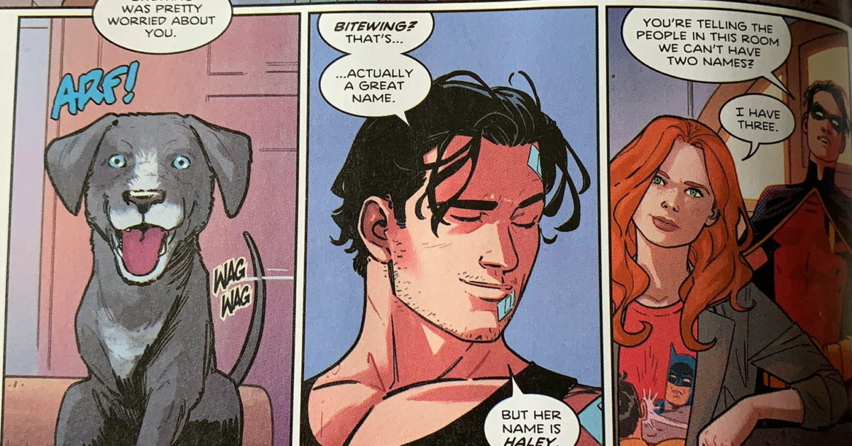 What's In A Name? Nightwing, Bitewing, Haley And More (Spoilers)