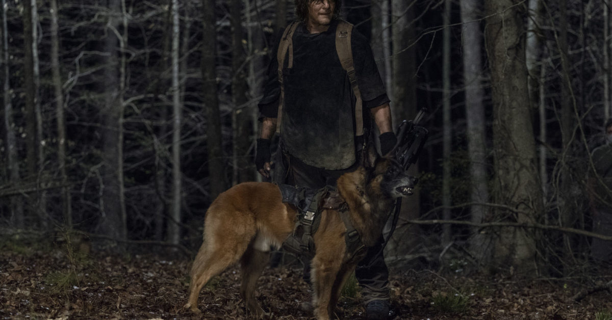 The Walking Dead Season 11 Preview: Anything Happens to Dog? We Riot