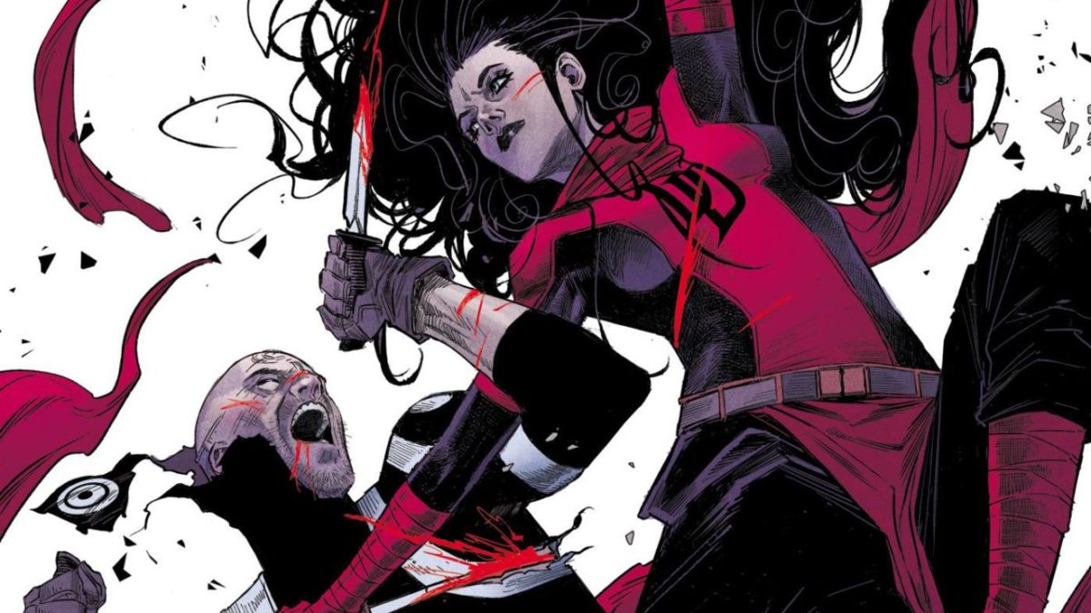 Daredevil Vs Elektra Kampscene