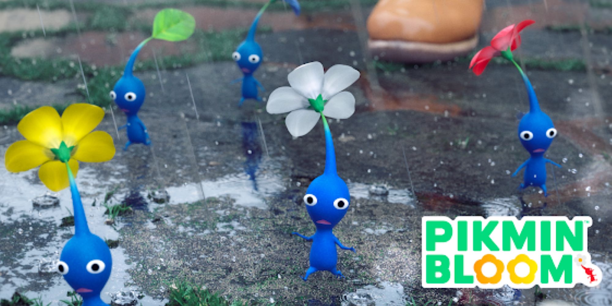 Pikmin Bloom News, Rumors and Information - Bleeding Cool News And ...