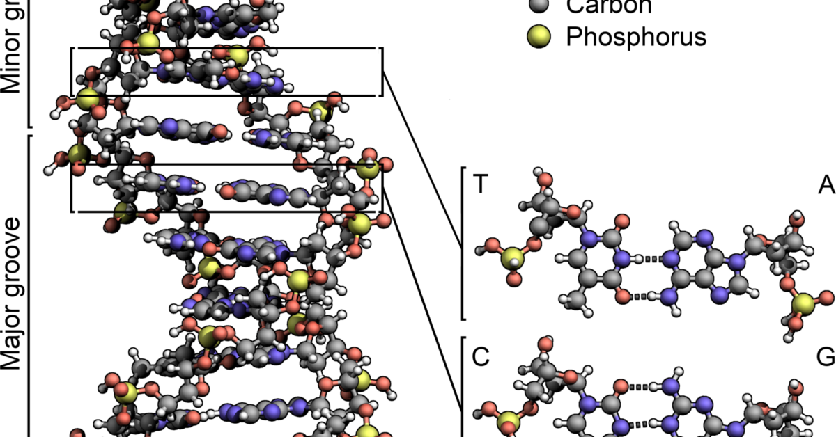 Laura Perlmutter's Lawsuit, Alleging Stolen DNA, Can Continue
