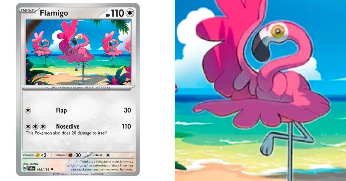 The Cards Of Pokémon TCG: Scarlet & Violet Part 40: Flamigo