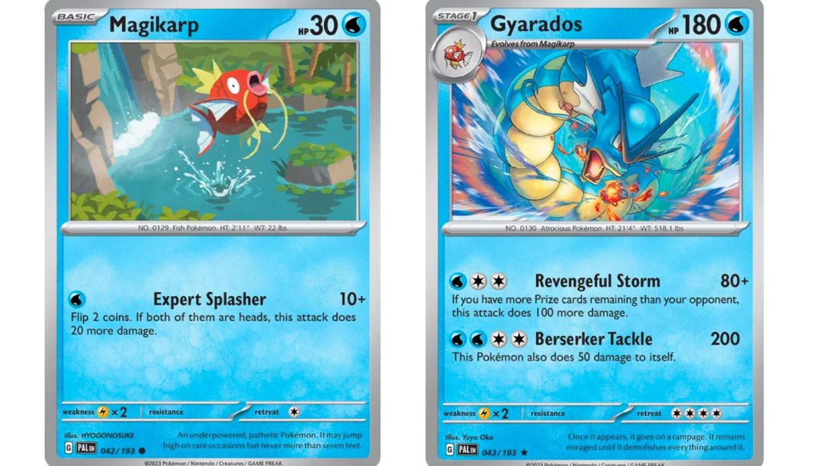 Gyarados And Magikarp