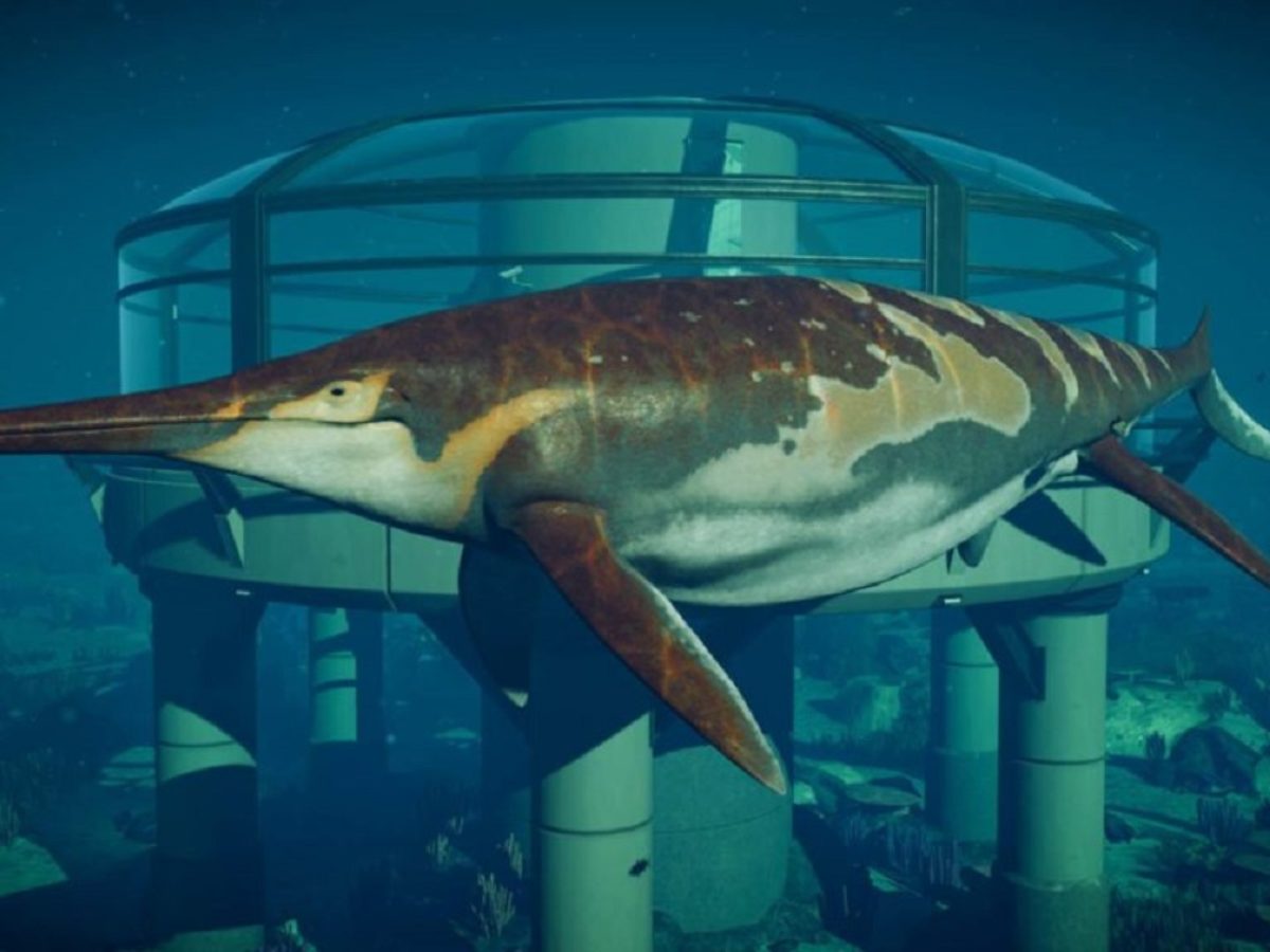 Cretaceous Marine Animals