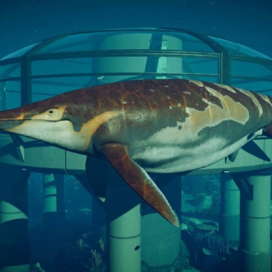 Jurassic Sea Animals