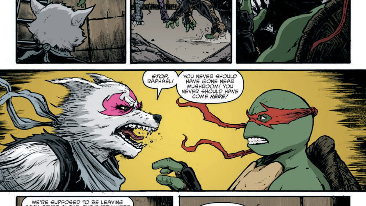 Cómic De Raphael Tmnt Alopex Y Teenage Mutant Ninja Turtles (IDW)
