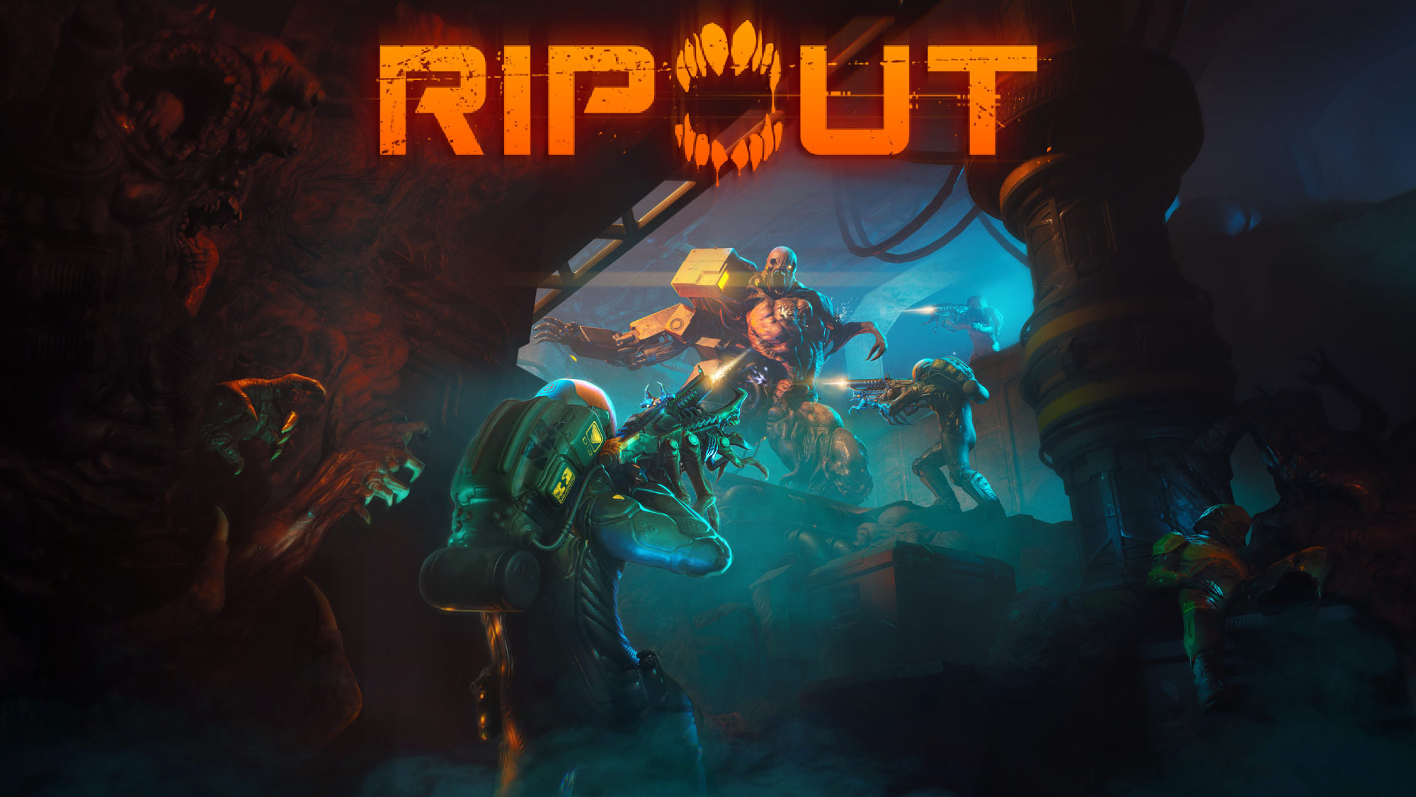 Ripout Launches New Beginning Update This Week