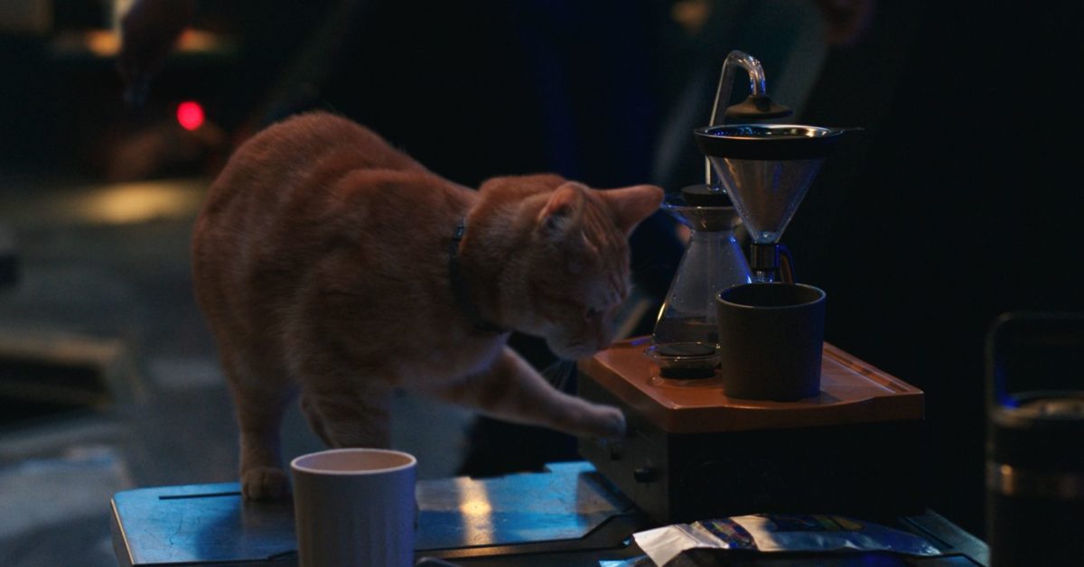 The Marvels: 6 Character Posters And Goose Gets One Because He Rules