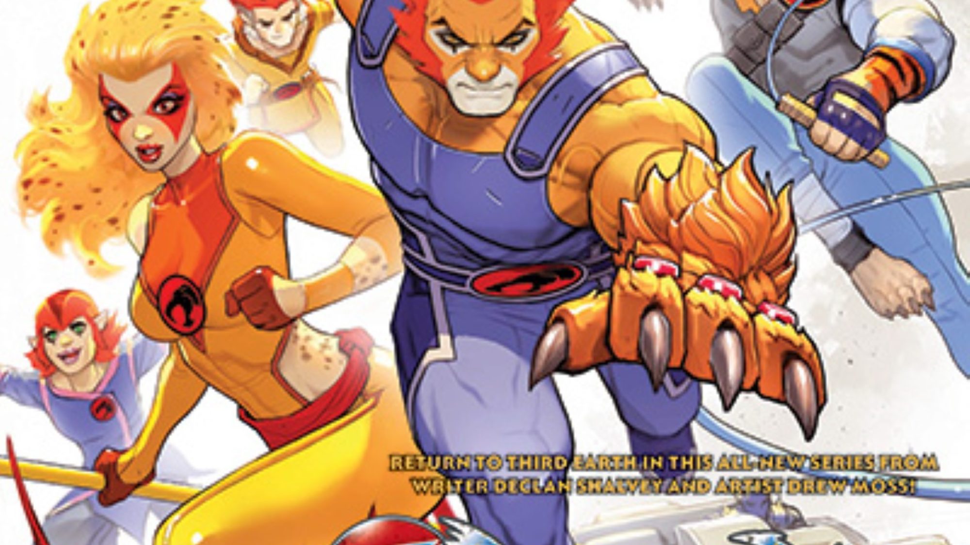 ThunderCats & Turtles On Next Week's Diamond Previews Covers