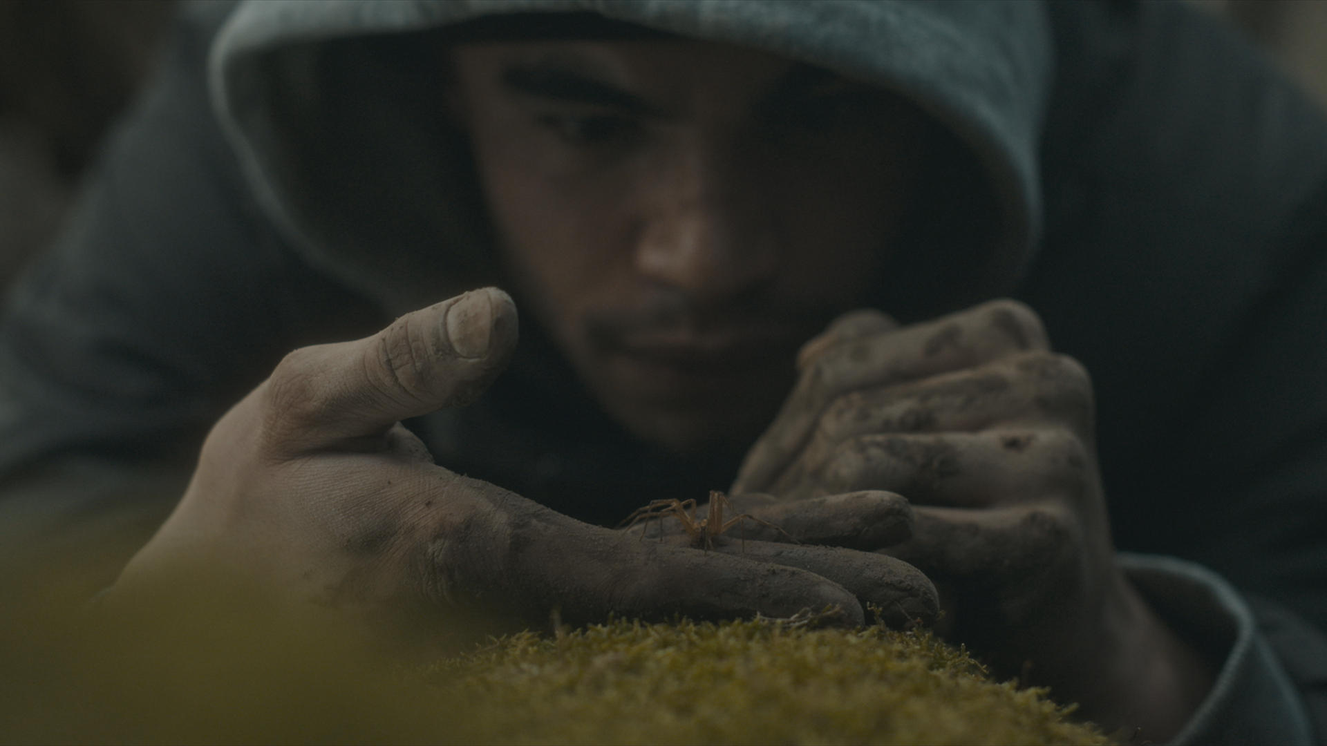 Infested News, Rumors and Information - Bleeding Cool News Page 1