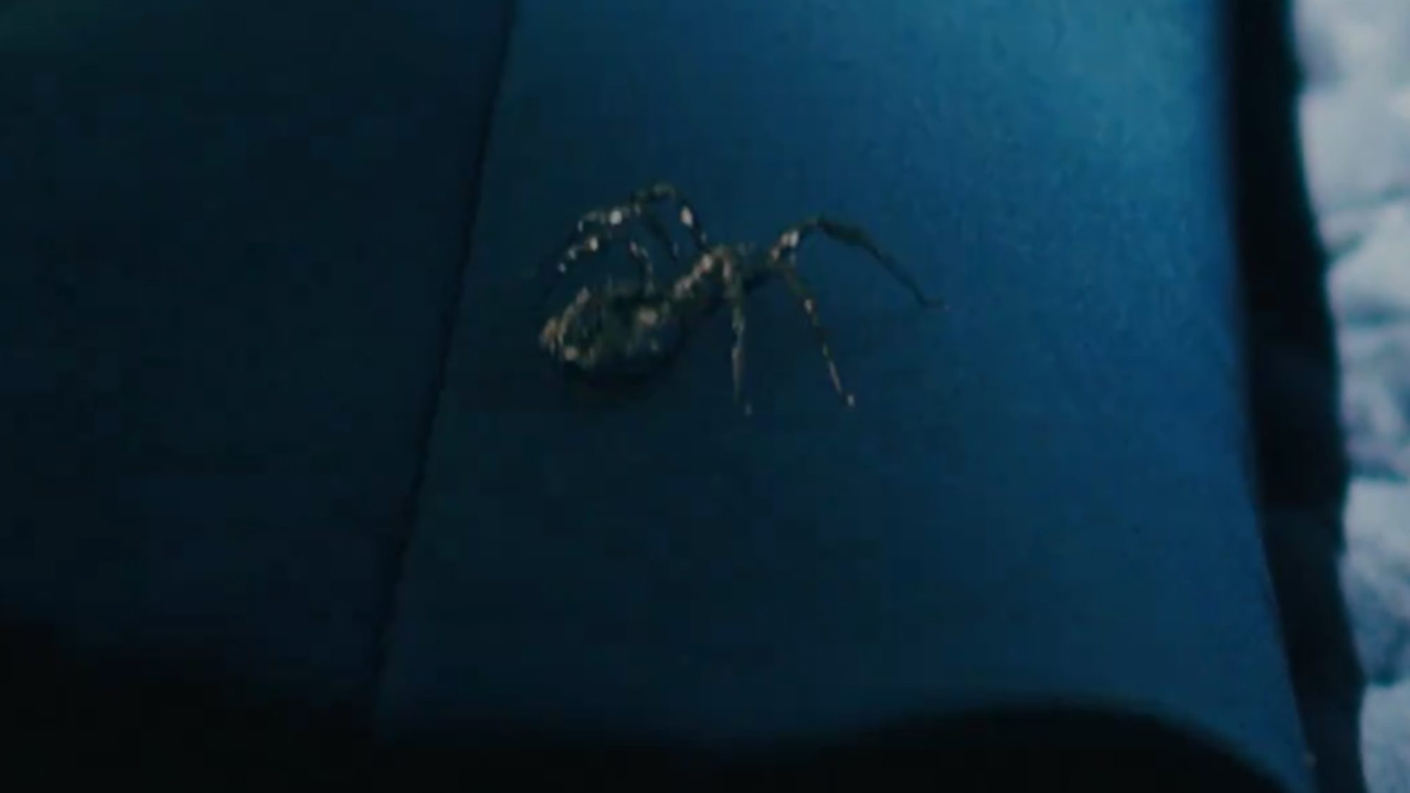 Star Trek: Discovery S05E04 Trailer: Someone Has a Time Bug Problem