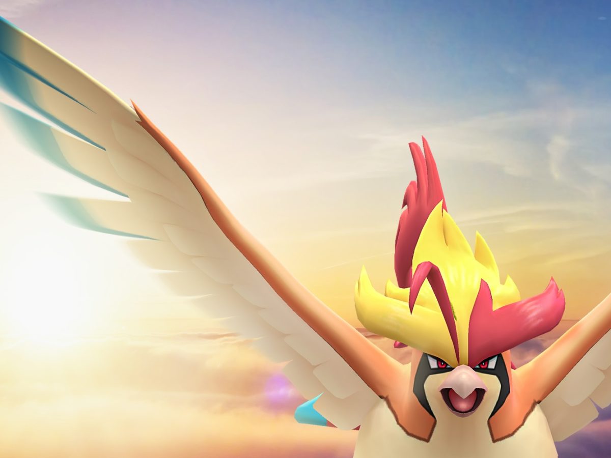 Mega Pidgeot By Dashinghero Mega Pidgeot Raid Guide | Pokémon GO Hub