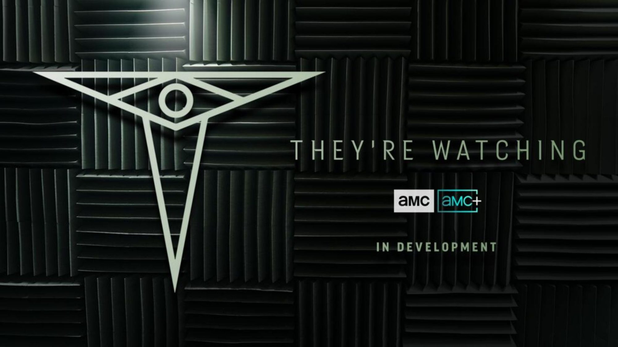 The Talamasca: New "Immortal Universe" Series in Development for 2025