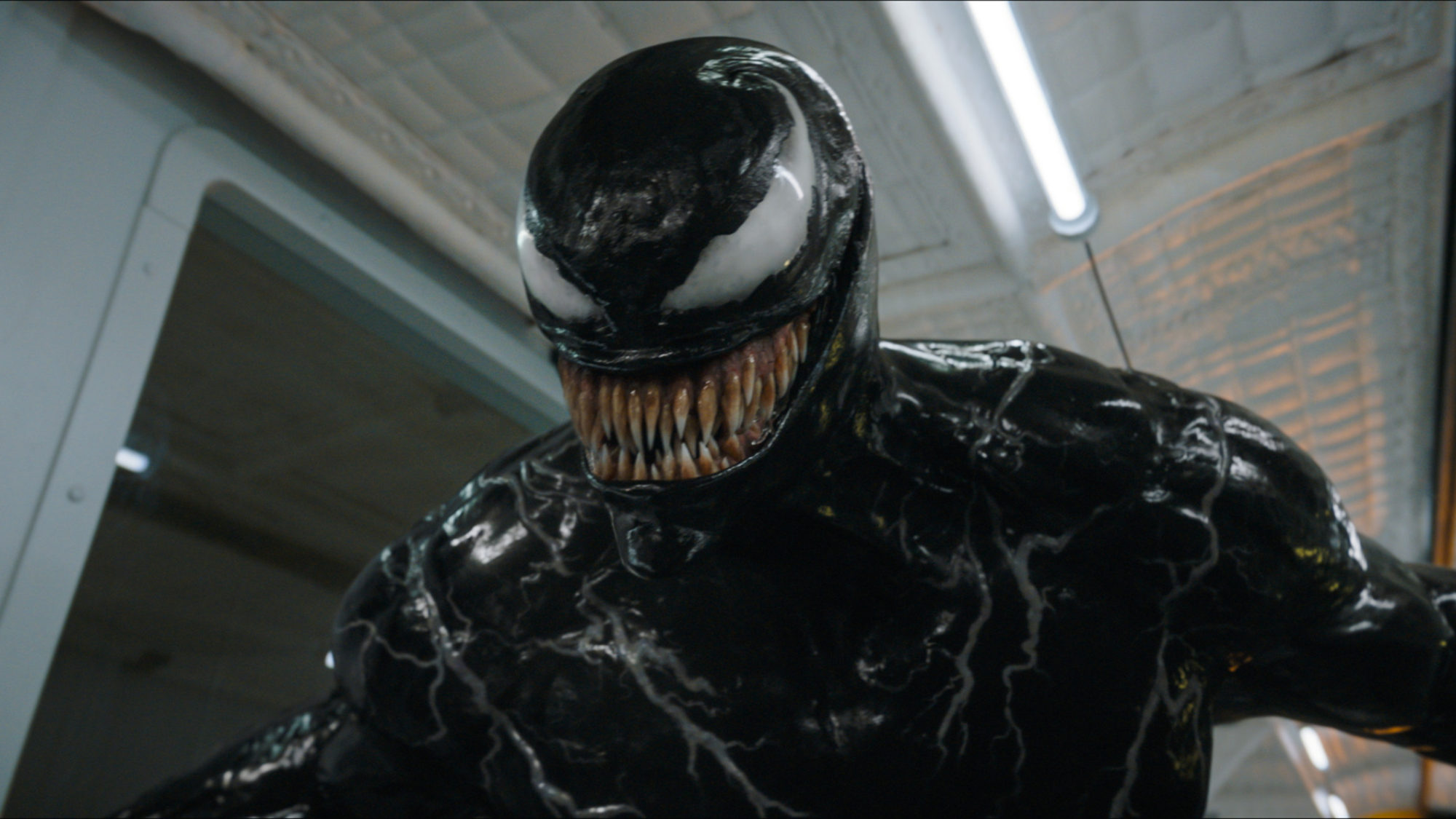The Director of Venom: The Last Dance on the Idea of More Stories