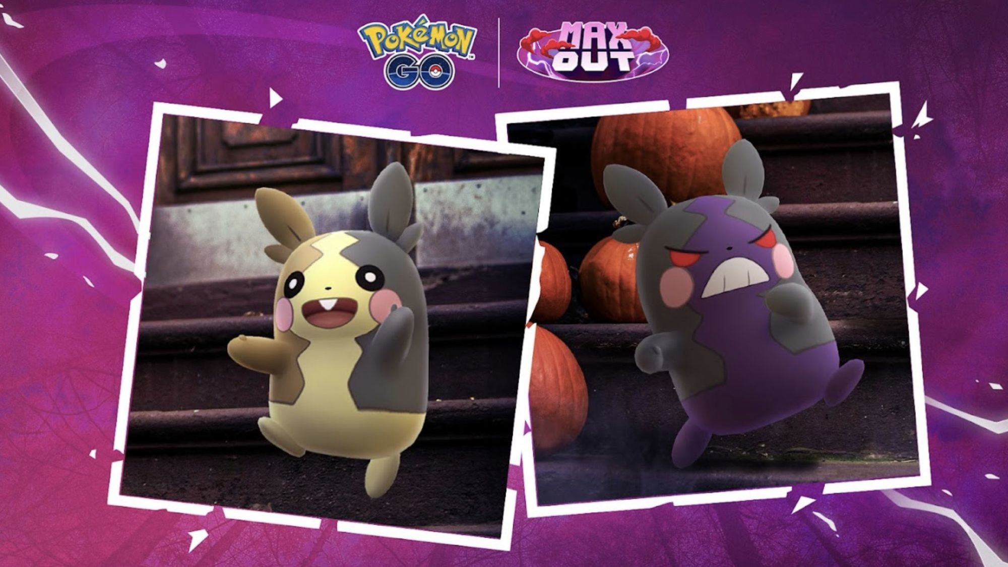 Morepeko Debuts in Pokémon GO: Halloween 2024 Part One