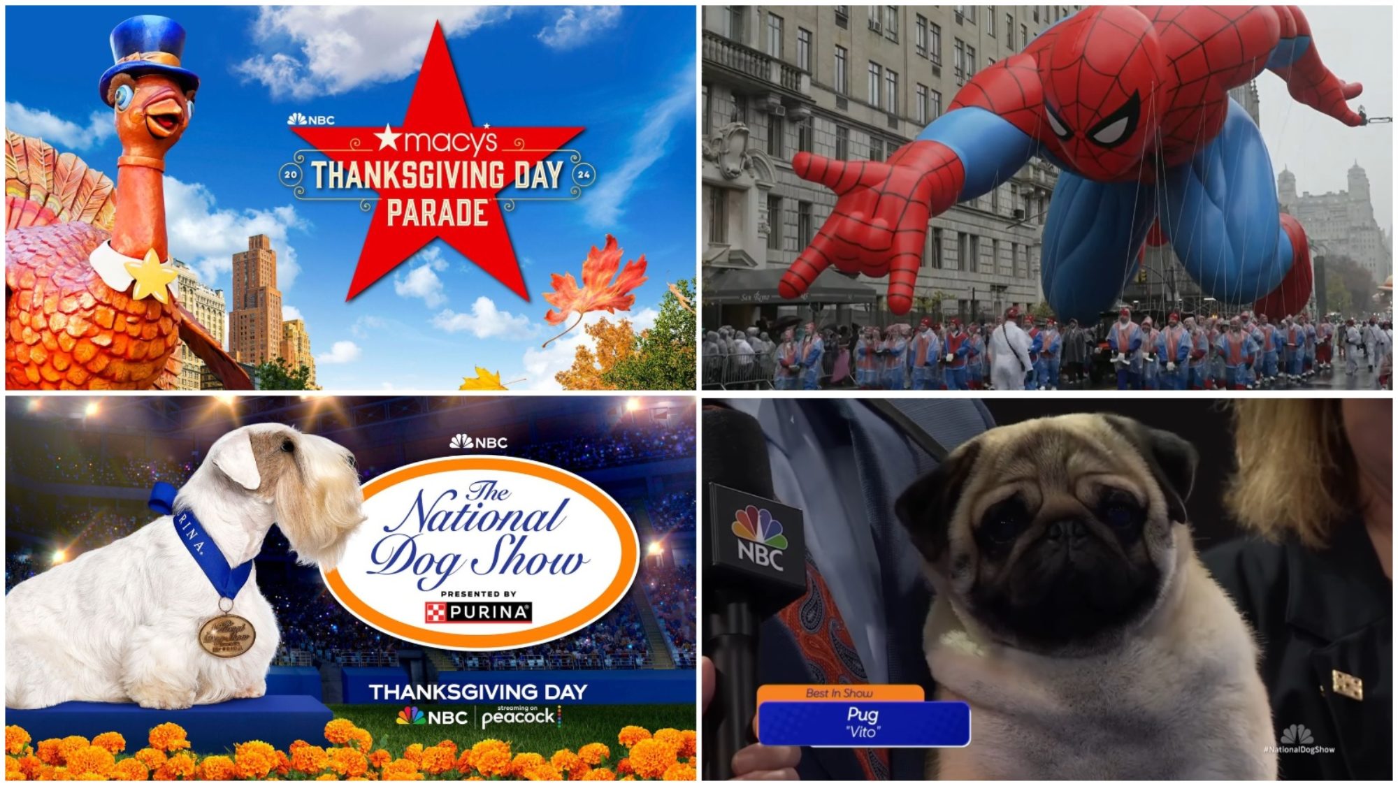 Macy's Thanksgiving Parade, National Dog Show Score for NBC, Peacock