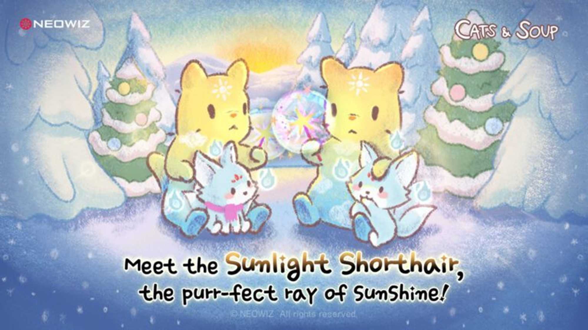 Cats & Soup Releases Brand-New Sunlight Shorthair