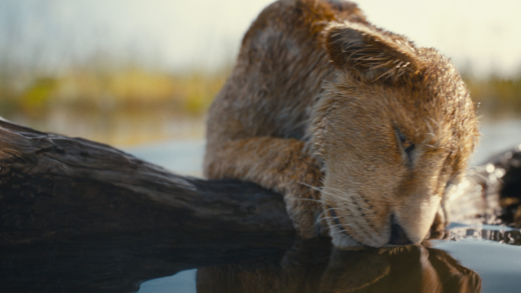 Mufasa Climbs Back To Top Spot At Weak Holiday Box Office