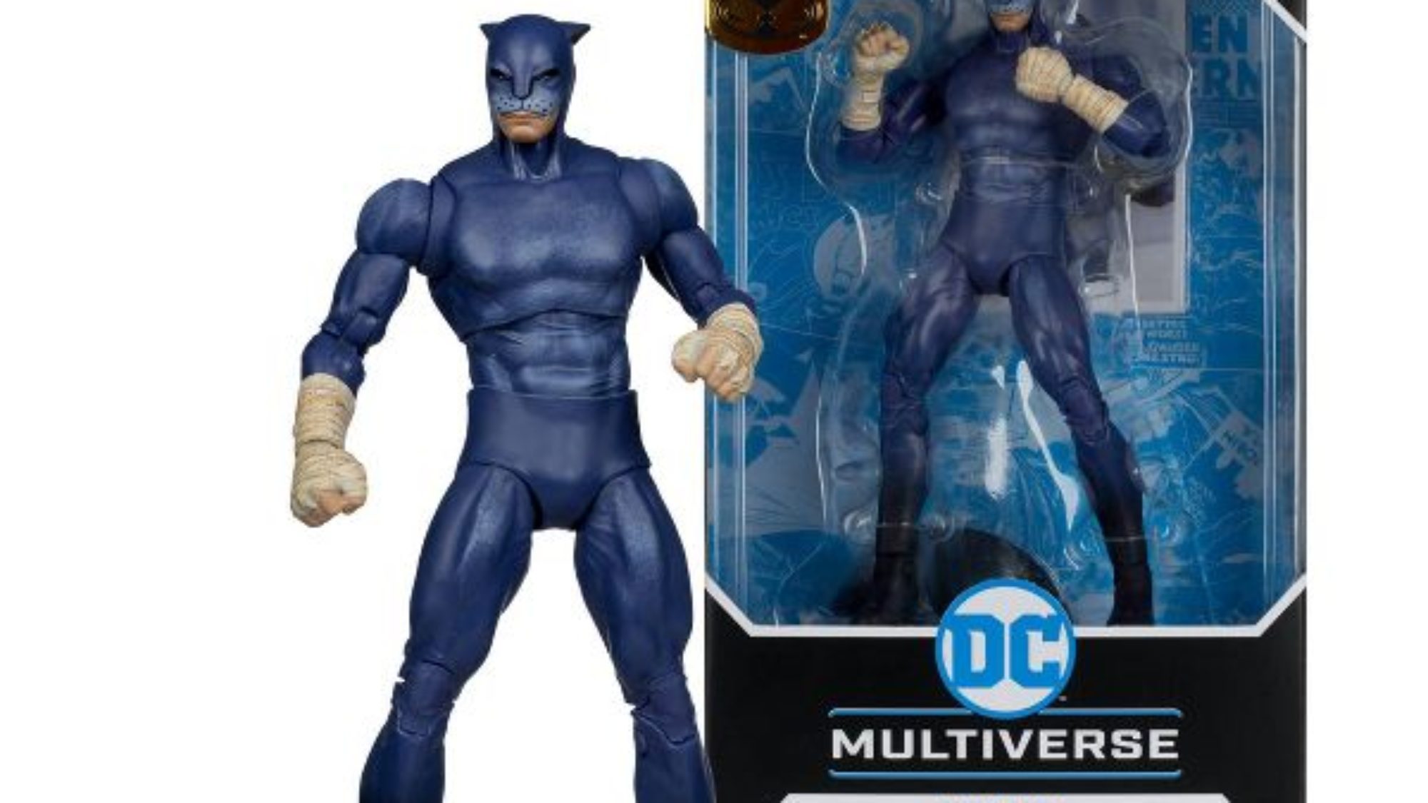DC Comics Justice Society of America Wildcat Joins the DC Multiverse