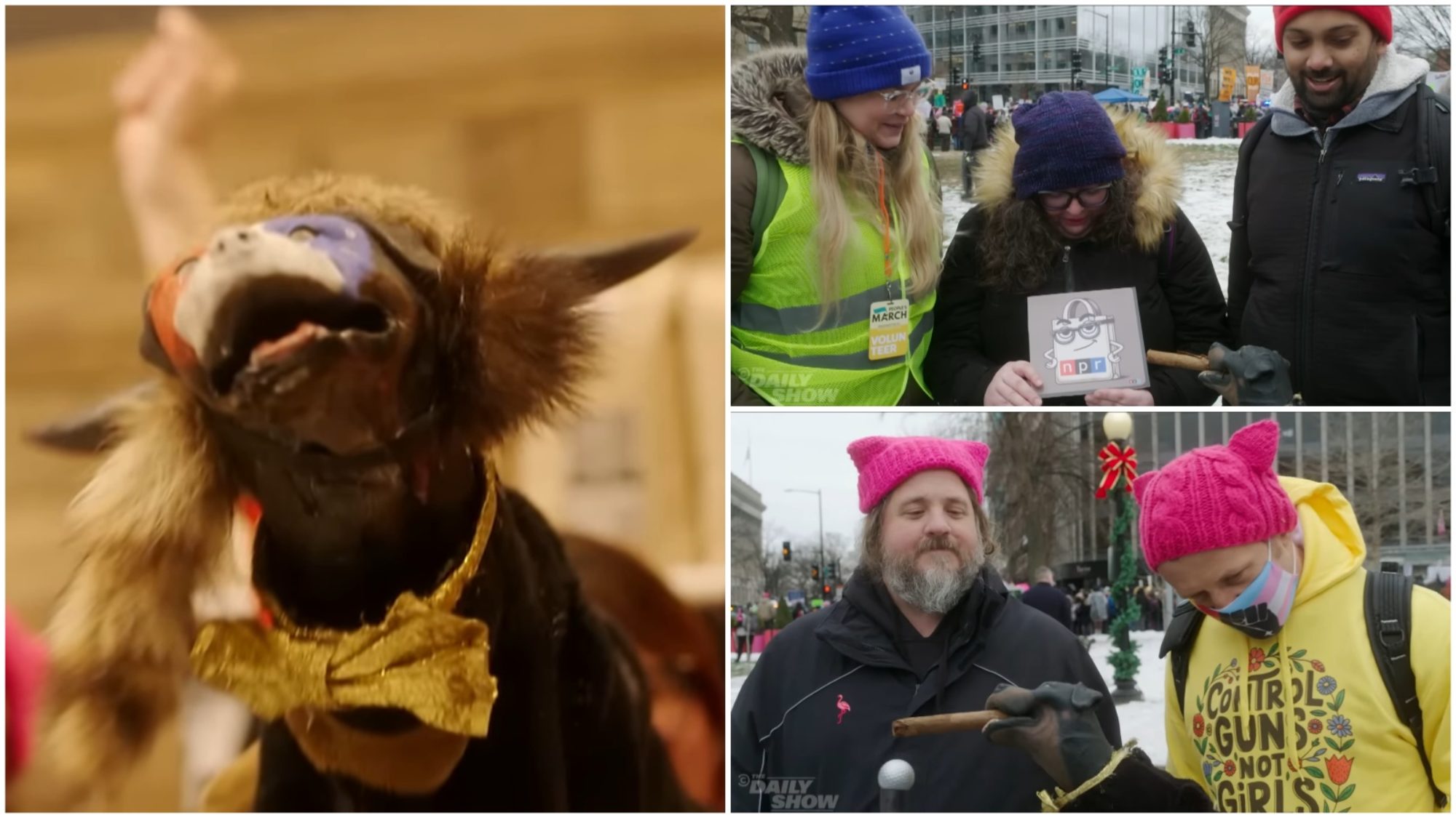 The Daily Show: Triumph Offers Trump Protesters MAGA-Inspired Ideas