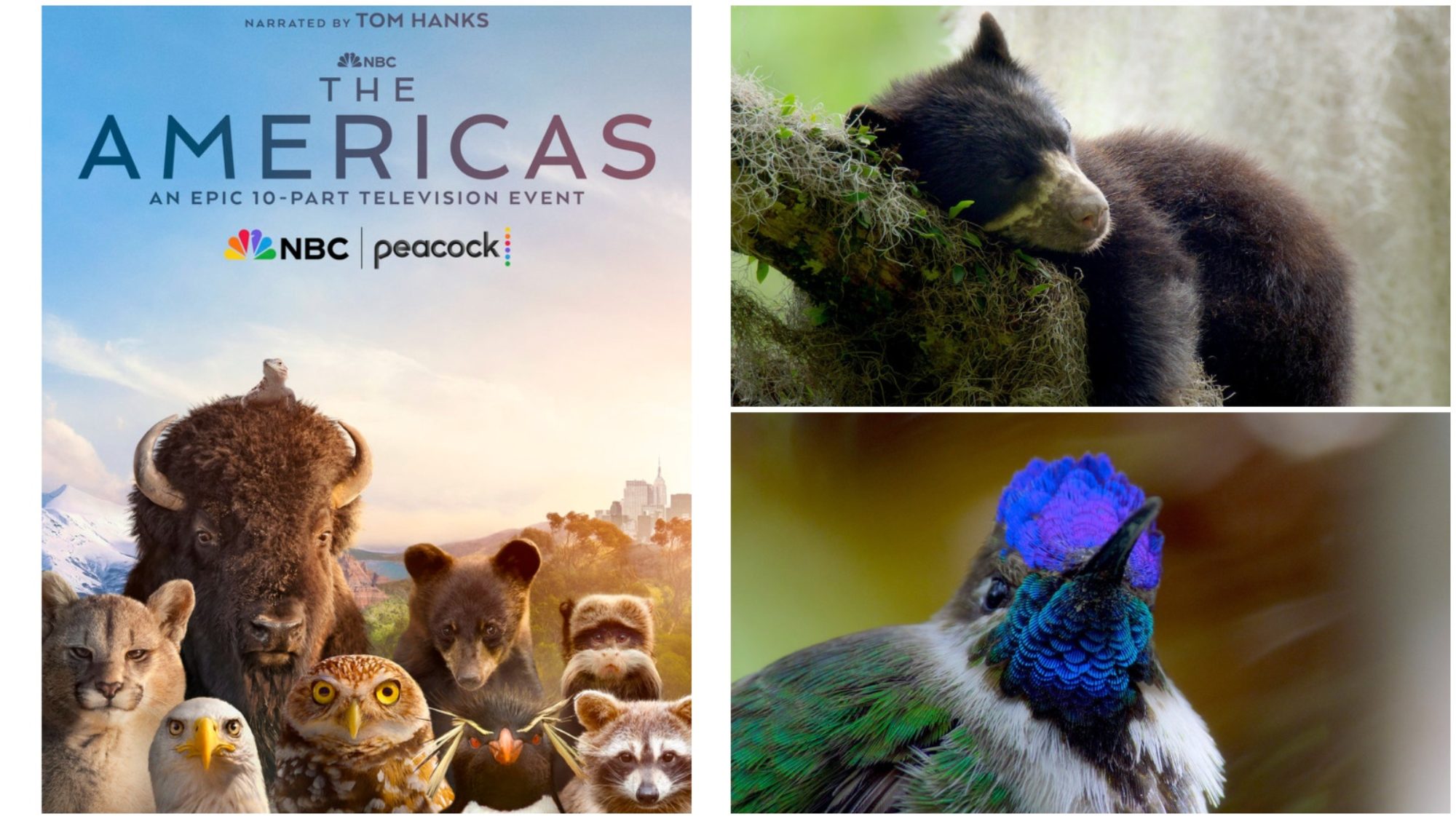 The Americas Episode 7 Examines "The Andes": Here's Our Viewing Guide