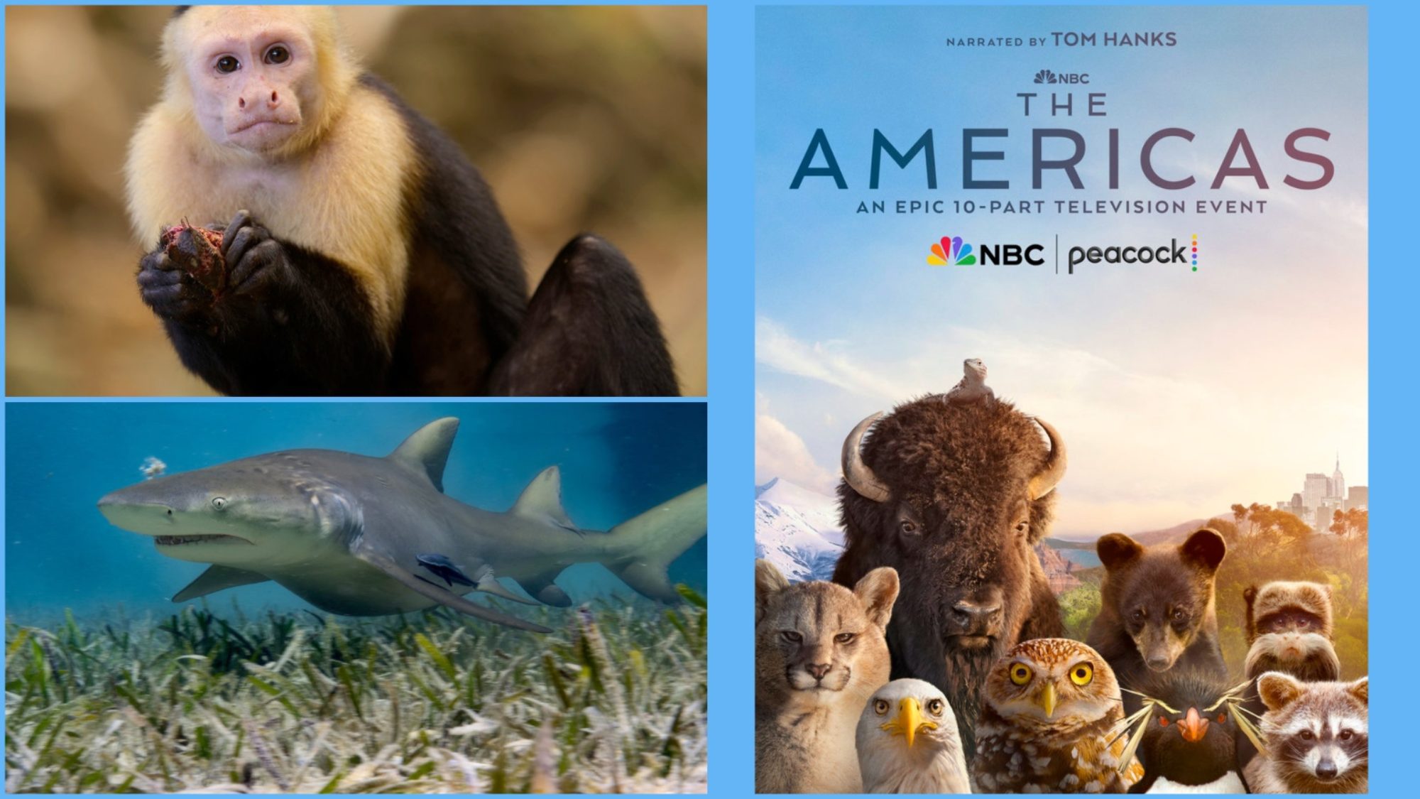 The Americas Episode 8 Explores "The Caribbean": Our Preview Guide