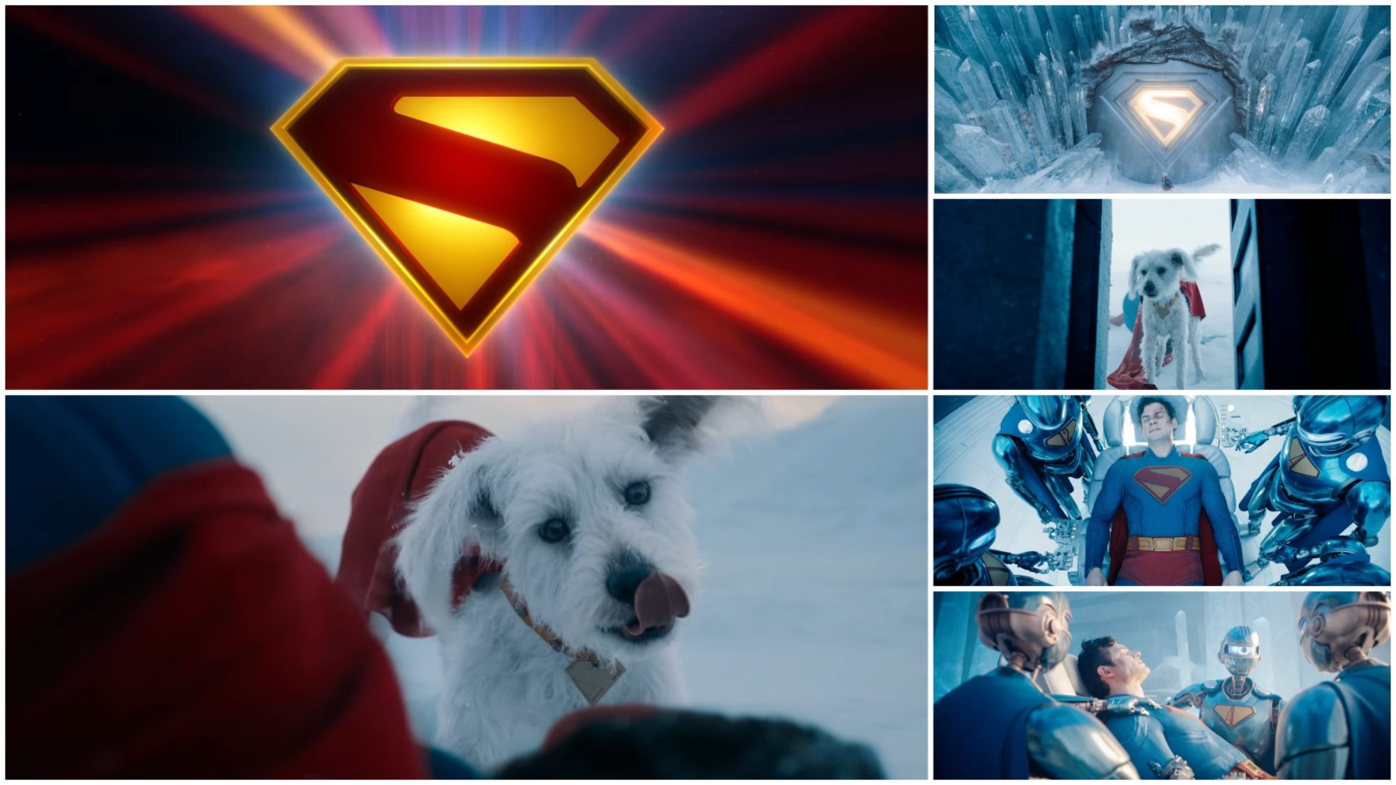 Superman: DC Studios Releases Krypto-Focused CinemaCon Sneak Peek