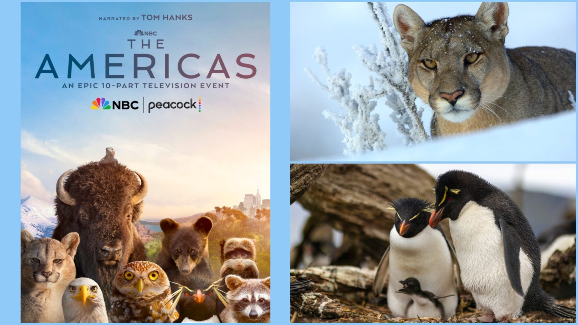 The Americas Ep. 10 Preview: Check Out What "Patagonia" Has to Offer
