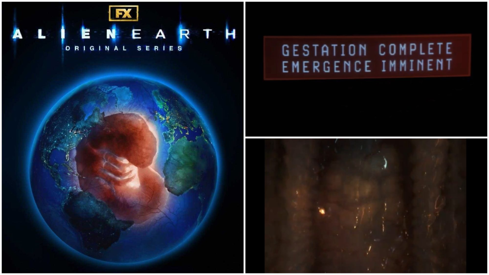 Alien: Earth Xenomorph Gestation Reaches Phase 4: "Morphogenesis"