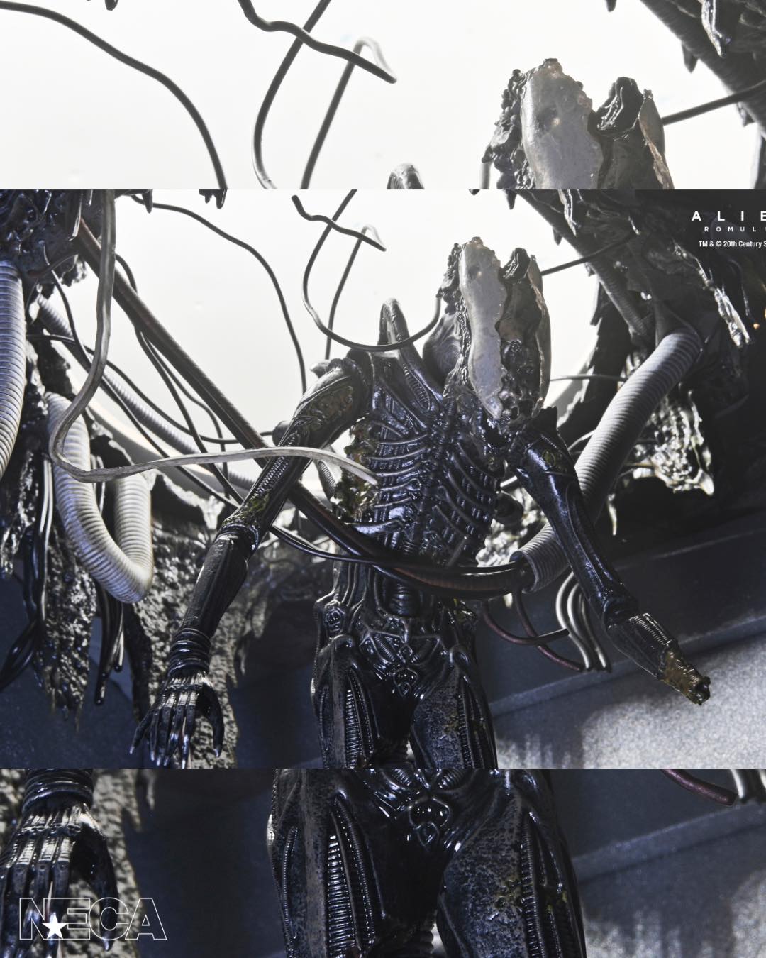 Alien: Romulus News, Rumors and Information - Bleeding Cool News Page 1