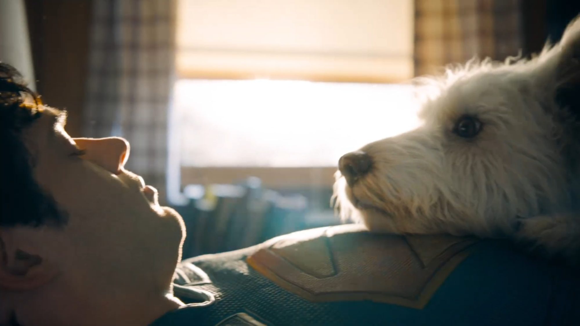 Superman, Milk-Bone Team-Up Offers New Looks at Krypto, Mr. Terrific