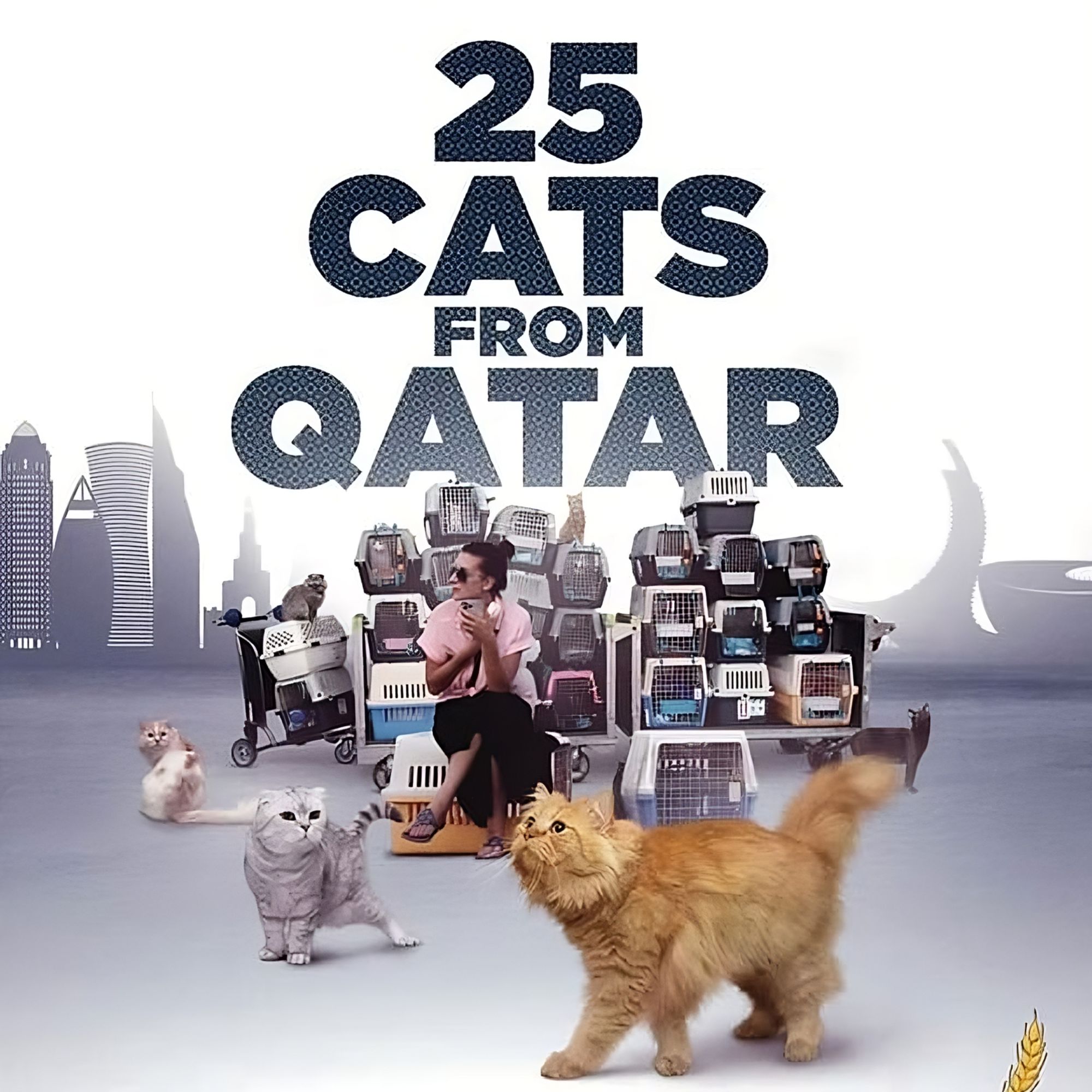 25 Cats from Qatar is an Epic Documentary about Cat Rescue