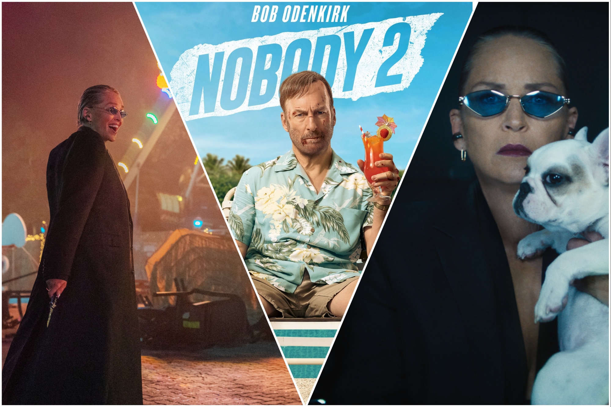 Nobody 2: Sharon Stone Used The Social Media Cruelty As Inspiration